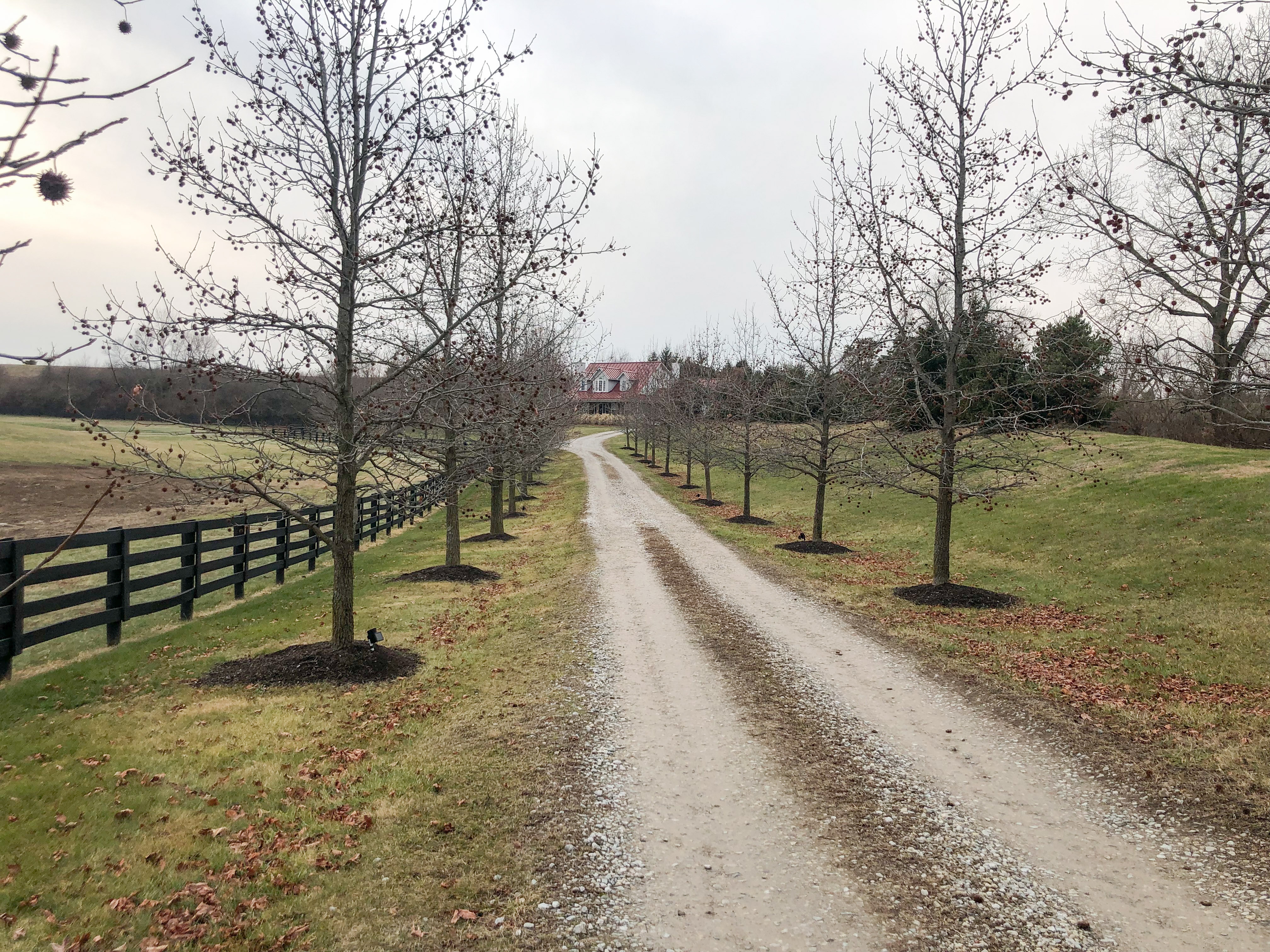 State Route 257 S, Ostrander, OH 43061-5613-1.jpg - ForeclosureAuctions ...