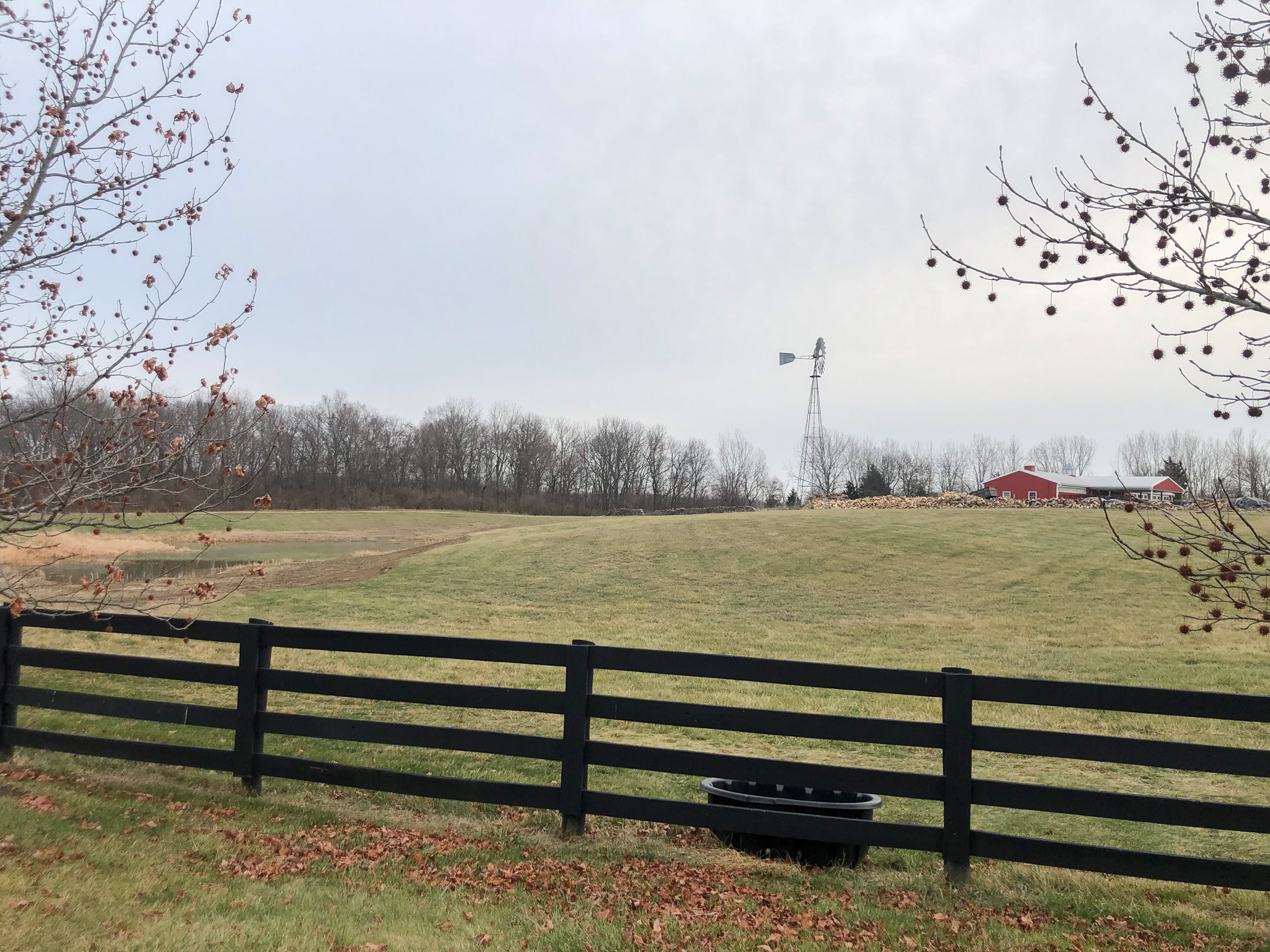 Ohio Private Selling Officer (PSO) - ***REDEEMED/SALE CANCELLED ...