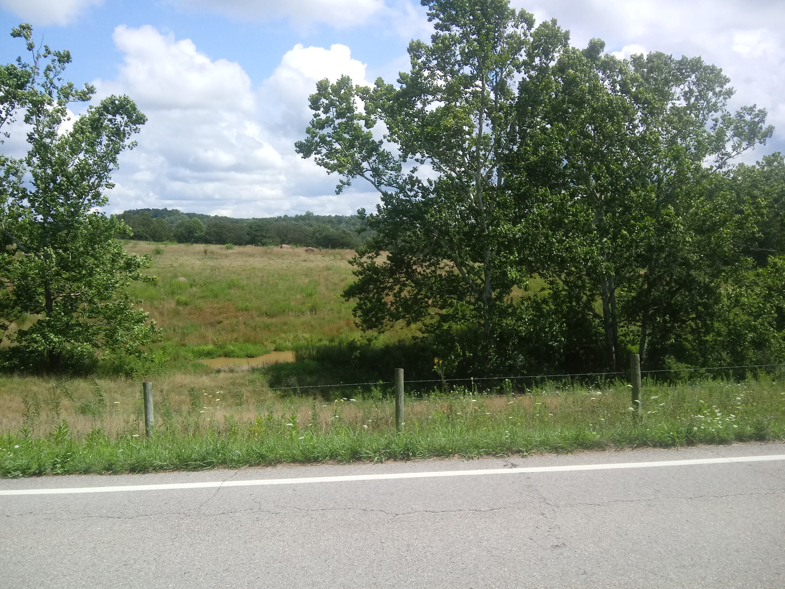 Ohio Private Selling Officer (PSO) - ***PAYMENT PLAN/SALE CANCELLED ...